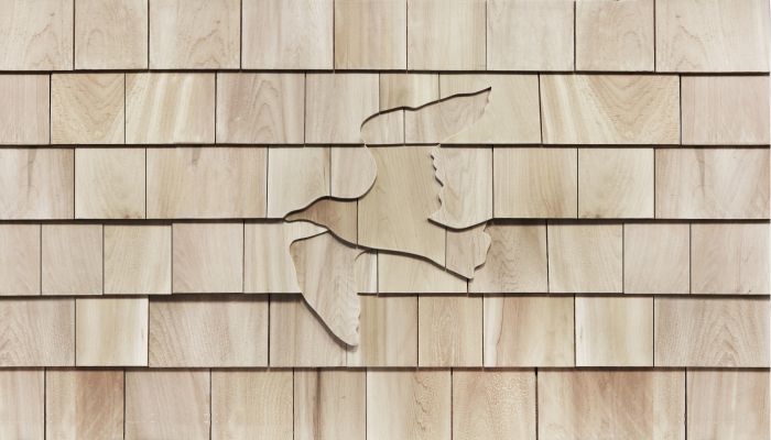 Mosaic Shingle Company